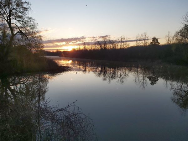 Beginners – Part 1 – Canadian Carp Society