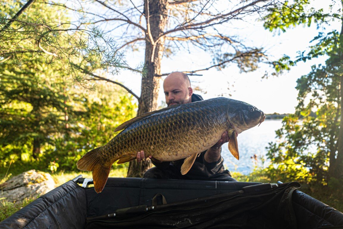 Beginners Series - Canadian Carp Society